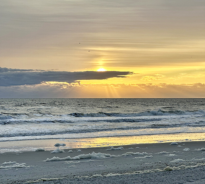 Golden hour transforms Mickler's Landing into a painter's dream, where sky meets ocean in a symphony of amber light.