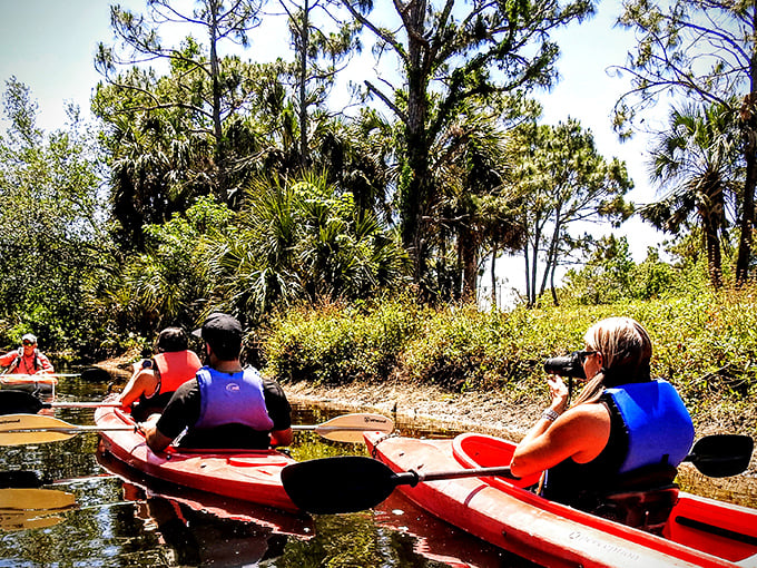 Nature's highway: Adventurers navigate through Florida's lush waterways, where every turn reveals another slice of untamed wilderness.