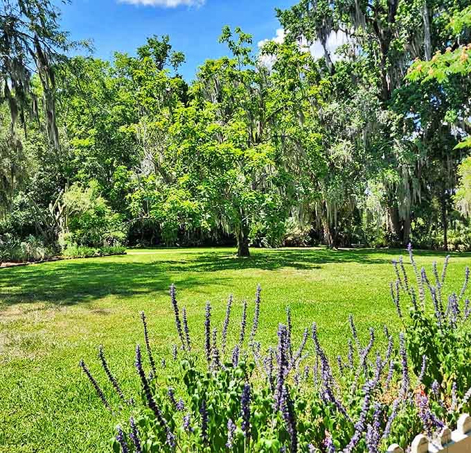 Sunlight filters through ancient oaks draped with Spanish moss, creating dappled shadows across the lush lawn of this Gainesville oasis.