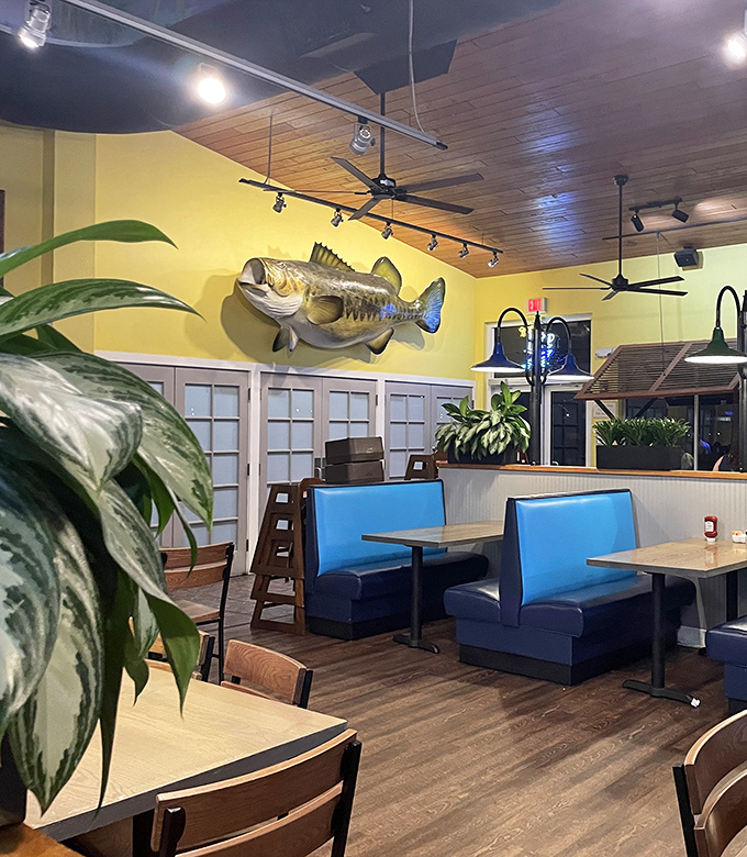 Inside, mounted fish watch over diners while bright blue booths and wooden accents create that perfect "I'm definitely in Florida" feeling.