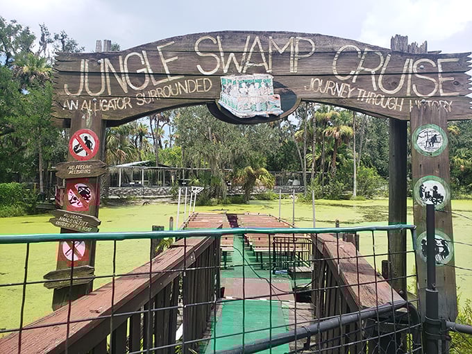 All aboard the swamp cruise, where the seating is cozy and the wildlife viewing is up close and personal.