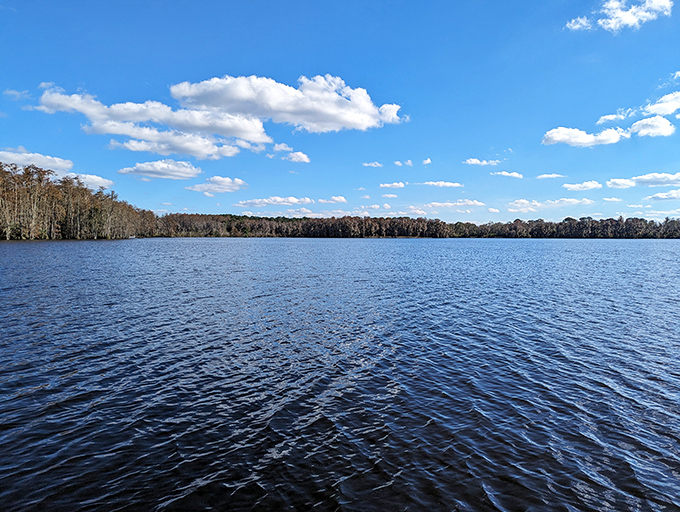 Mirror, mirror on the lake: Trout Lake's pristine waters create perfect reflections of the surrounding cypress forest, a natural infinity pool without the resort price tag.