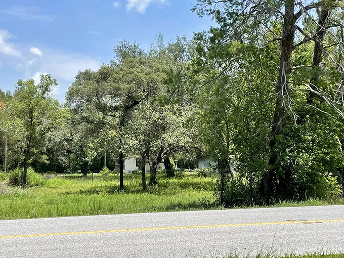 The main road stretches ahead like an invitation to adventure, promising scenic views and a momentary escape from the ordinary.