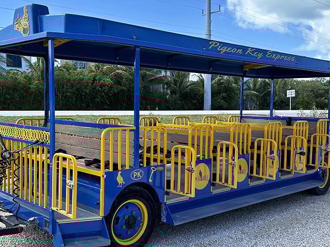 Open-air comfort meets panoramic views on this charming trolley, where every seat offers front-row tickets to nature's most spectacular show.