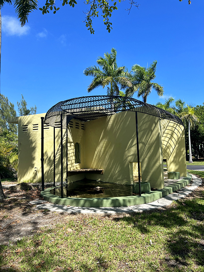 This pale yellow building with its distinctive curved roof once housed exotic creatures but now stands as an artistic monument to Miami's evolving relationship with wildlife.