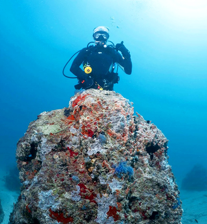 Nature's paintbrush at work &ndash; vibrant marine growth transforms this artificial reef into a colorful underwater oasis.