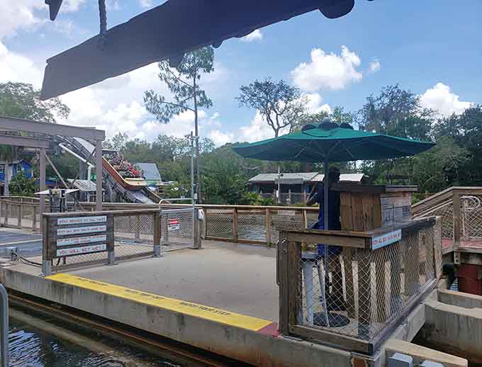 The rides at ZooTampa create that perfect blend of family fun and mild terror that makes for the best vacation photos and stories.