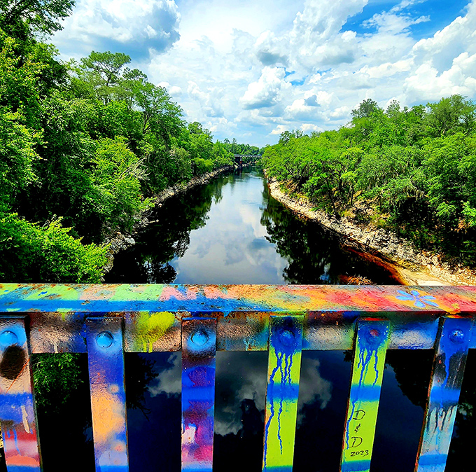 The dark, reflective waters of the Suwannee create a perfect mirror for the vibrant chaos above, nature's serenity meeting human expression.