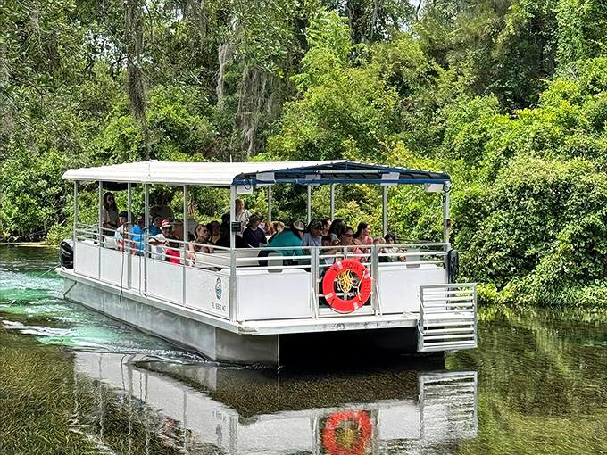 Floating through nature's aquarium &ndash; this riverboat tour offers front-row seats to Florida's underwater theater without getting your feet wet.