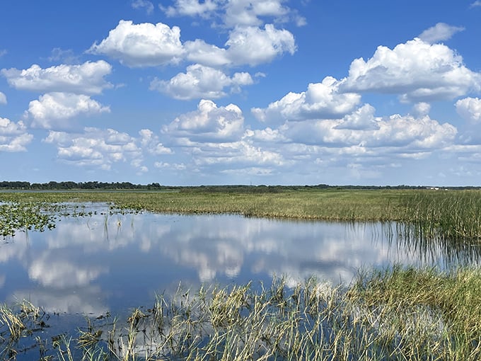 Cloud formations play across the wetlands like nature's own daydreams, painting reflections that double the beauty of an already perfect scene.
