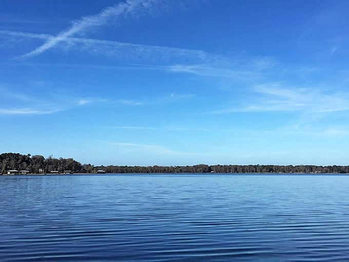 The serene waters create nature's perfect mirror, doubling the visual impact of that impossibly blue Florida sky. Stress doesn't stand a chance here.