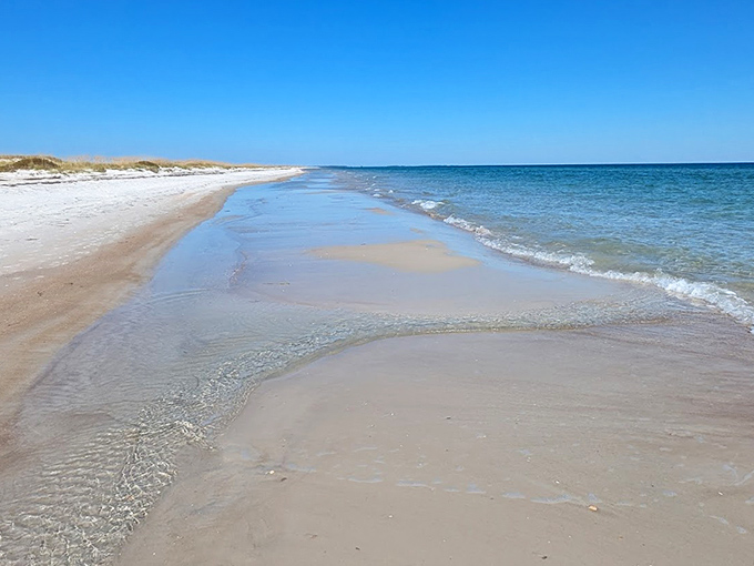 Where land meets sea: Crystal-clear waters gently kiss pristine shores, creating a shoreline that would make Caribbean postcards jealous.