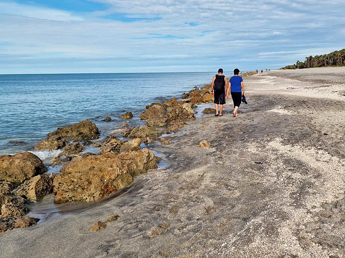 Two beachcombers stroll along the pristine shoreline, where each wave might deliver a prehistoric souvenir to patient collectors.