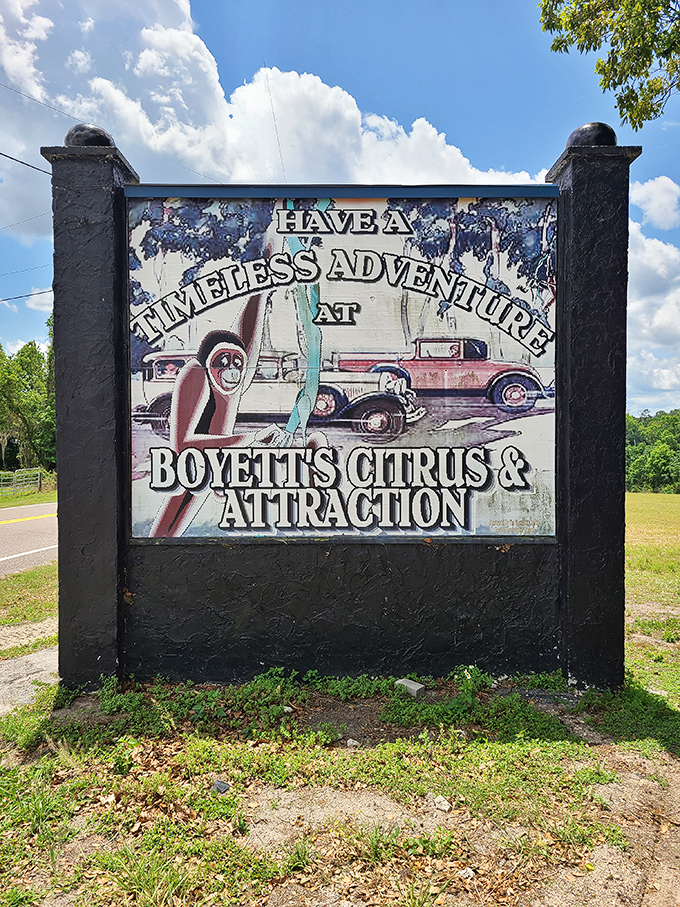 "Have a Timeless Adventure" promises the weathered roadside sign, featuring a curious orangutan that seems to know something wonderful awaits inside.