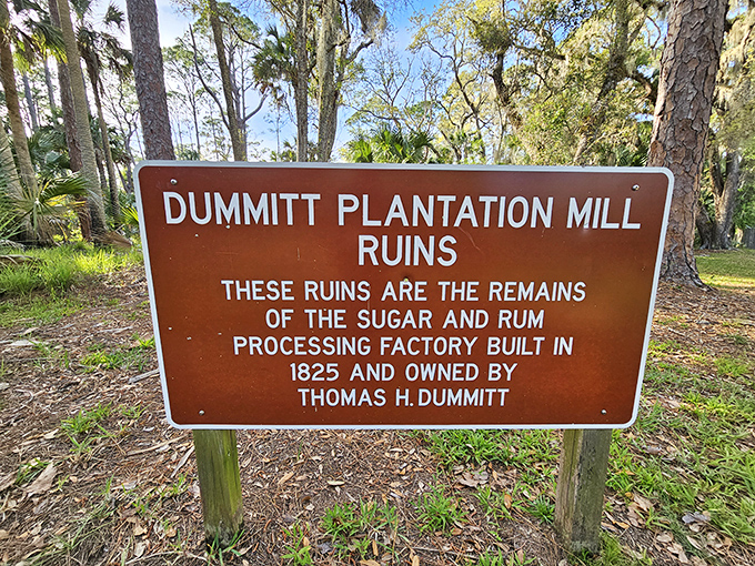 "These ruins are the remains of the sugar and rum processing factory built in 1825" &ndash; history distilled into a single brown sign.