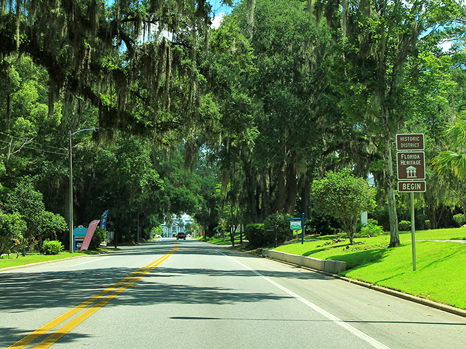 Spanish moss drapes over oak-lined streets like nature's own mood lighting, creating tunnels of dappled sunlight perfect for leisurely drives.
