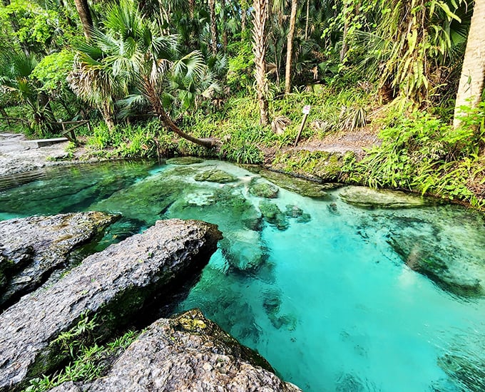 Nature's swimming pool: The turquoise waters of Rock Springs invite you in with their impossible clarity and refreshing 68-degree embrace.