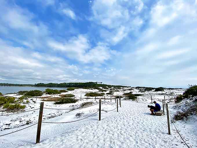 Nature's finest architecture &ndash; sugar-white dunes sculpted by wind and time create a stunning backdrop for beach wanderers seeking solitude.