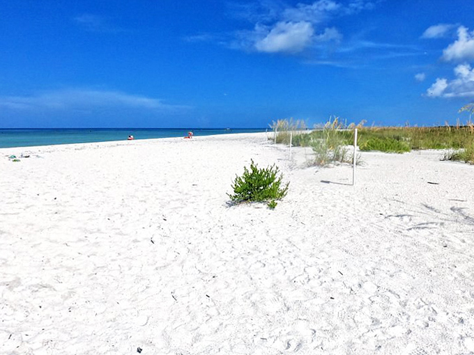 Under endless blue skies, Keewaydin's pristine shoreline offers what many Florida beaches can't &ndash; blissful solitude and natural beauty.