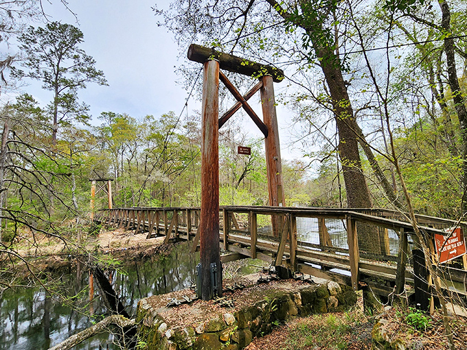 The suspension bridge stands as a testament to craftsmanship, offering thrilling views of the Santa Fe River's mysterious journey below.