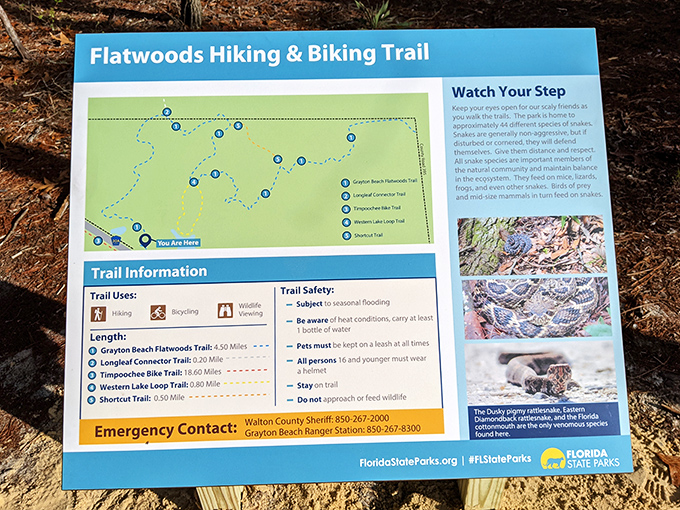 Mother Nature's GPS at your service! This trail map doesn't just show paths&mdash;it's your ticket to Florida's wild side without the theme park prices.