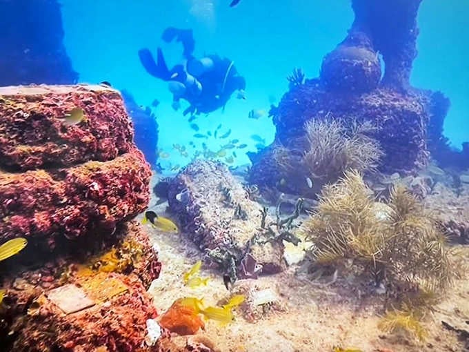 Sunlight dances through turquoise waters, illuminating the reef's intricate structures where colorful fish dart between memorial columns.