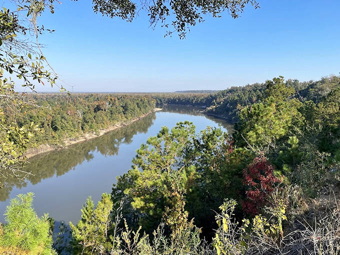 Standing at this cliff's edge feels like discovering a secret Florida that tourism brochures forgot to mention.