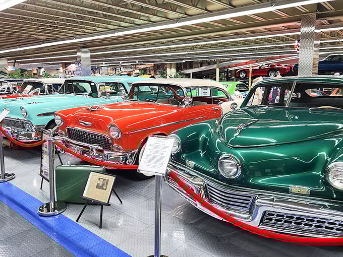 Classic cars arranged like colorful candies in a store display. Each one tells a story of American innovation and style.