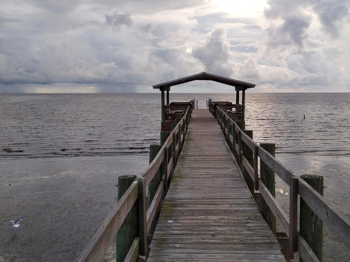 This weathered walkway stretches toward the horizon like an invitation, promising sunset views that make smartphones seem suddenly inadequate.
