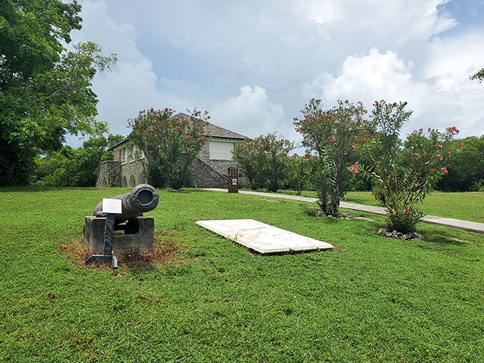 A peaceful camping area at Lignumvitae Key with sandy paths winding through green spaces, perfect for travelers seeking solitude among Florida's natural wonders.