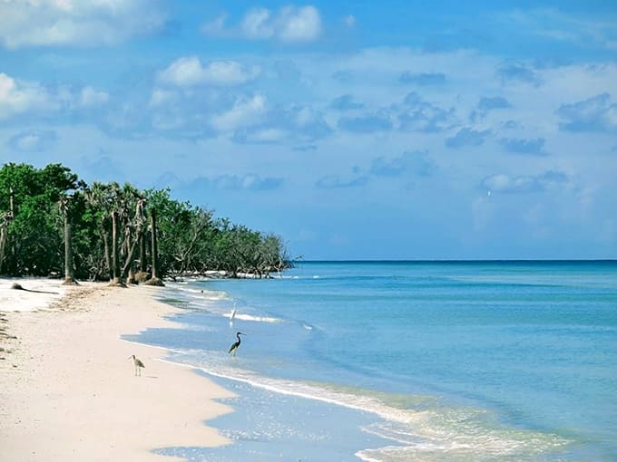 White sand and turquoise water create a combination that never gets old, no matter how many beaches you've seen.