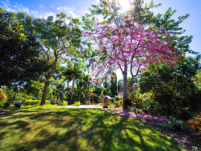A vibrant flowering tree creates a stunning purple canopy against the blue sky at Naples Botanical Garden.