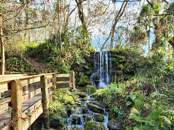 Another view of Rainbow Springs reveals its crystal-clear waters cascading over ancient limestone. The falls seem to tell stories of old Florida.