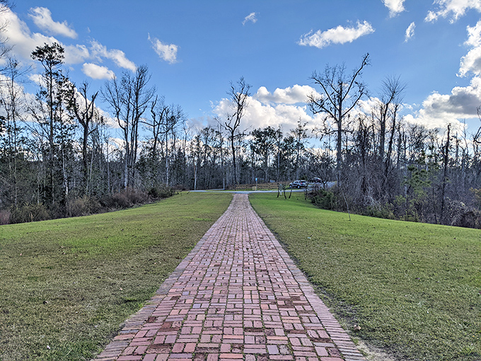 A brick pathway leads through an open field, beckoning hikers to discover the hidden ravines and rare trees of Torreya State Park.