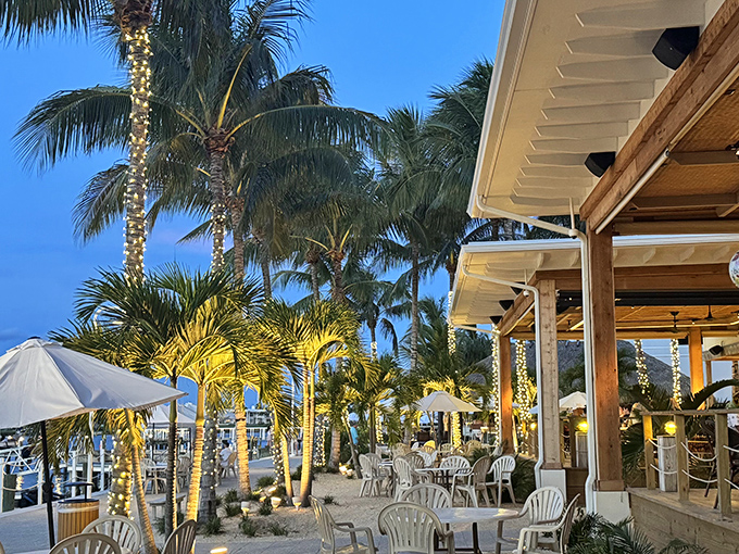 The outdoor dining area at U-Tiki Beach offers palm-lined waterfront views where boats dock and diners unwind under the Florida sky.