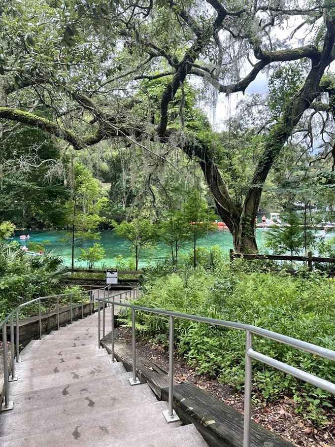 Access Trail to the Spring Head: Follow this winding path through a cathedral of trees to discover the liquid treasure waiting at trail's end.
