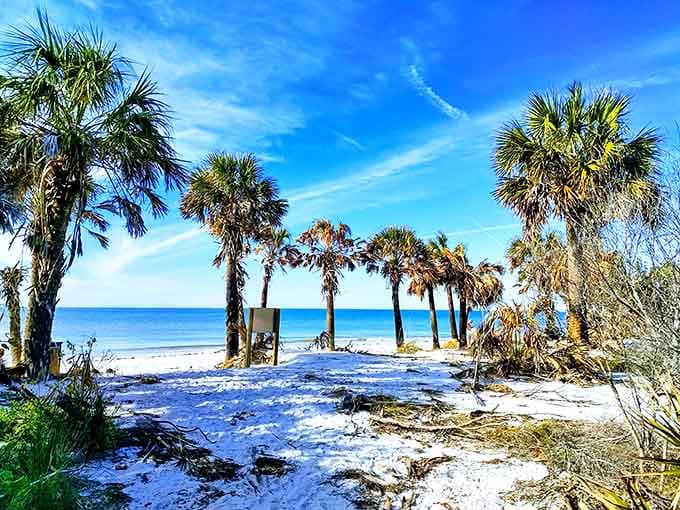 Kayaks rest on untouched shores where the only footprints might be your own or those of nesting sea turtles.
