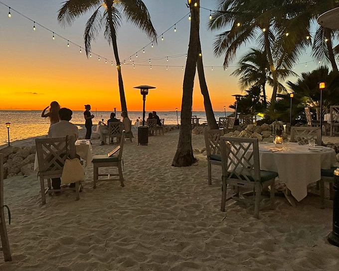 Beachfront dining under string lights and swaying palms &ndash; where every table feels like the best seat in the house.