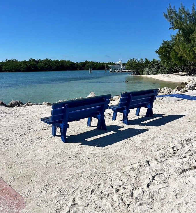 Front-row seats to serenity: Blue benches invite contemplation where the rhythm of waves provides nature's perfect soundtrack.