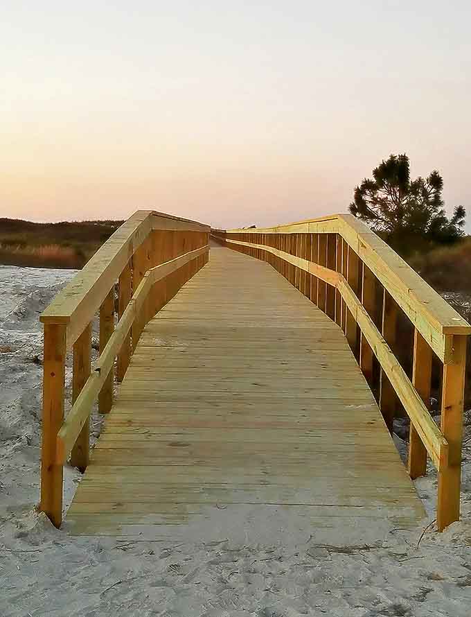Elevated pathways wind through the preserve, keeping visitors dry while providing intimate access to this thriving wetland ecosystem.