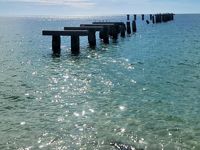Nature's modern art installation: remnants of an old pier create "Bocahenge," where dolphins often gather as if appreciating the sculptural quality.