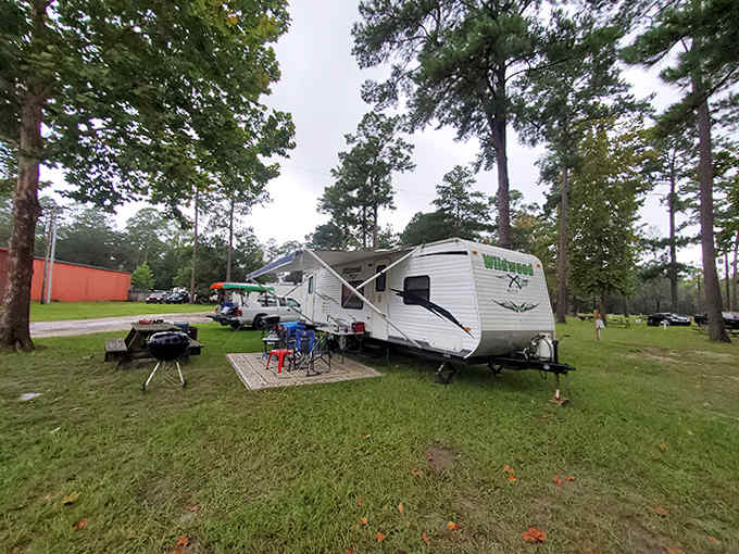 Camping here means waking up steps from diving paradise, though your morning coffee might taste better knowing underwater caves await just outside your door.