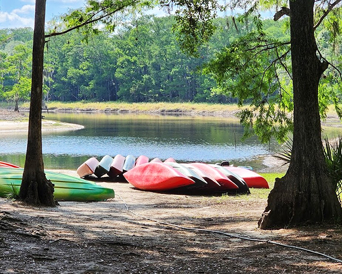 Rainbow fleet awaiting adventure &ndash; these vessels aren't just boats, they're time machines to a wilder Florida.