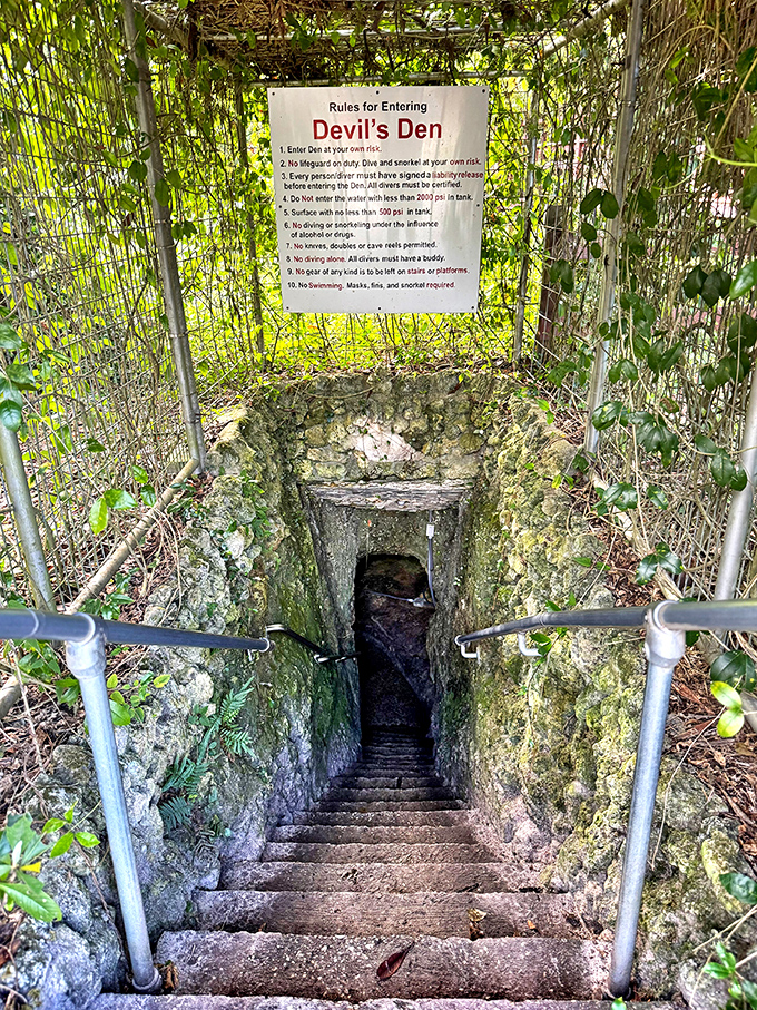These stone steps lead to the Devil's Den cavern entrance &ndash; less "highway to hell" and more "stairway to heaven's swimming pool."