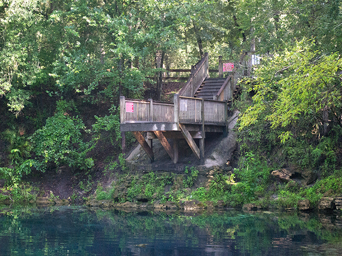 The diving platform stands like a gateway to adventure, daring visitors to take the plunge into crystal waters below.