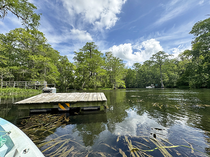 That weathered wooden dock isn't just a launching point &ndash; it's the gateway between ordinary life and wild Florida adventures.