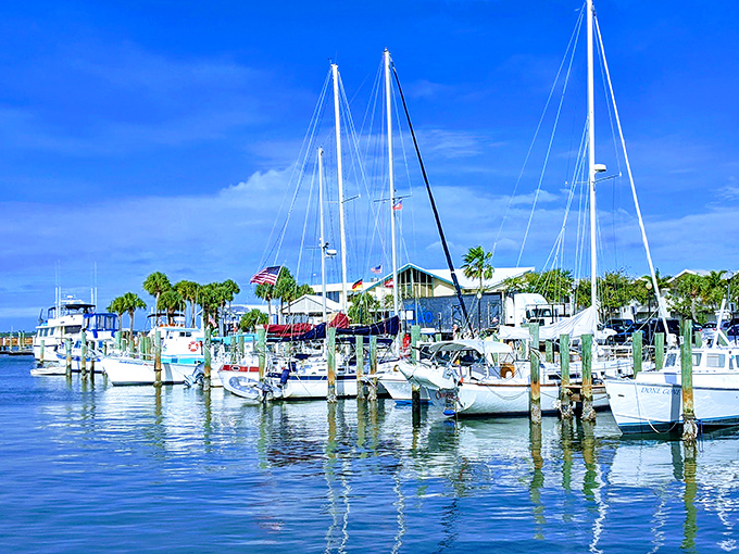 Dunedin Marina's forest of masts stands at attention, each boat whispering promises of adventures just beyond the horizon.