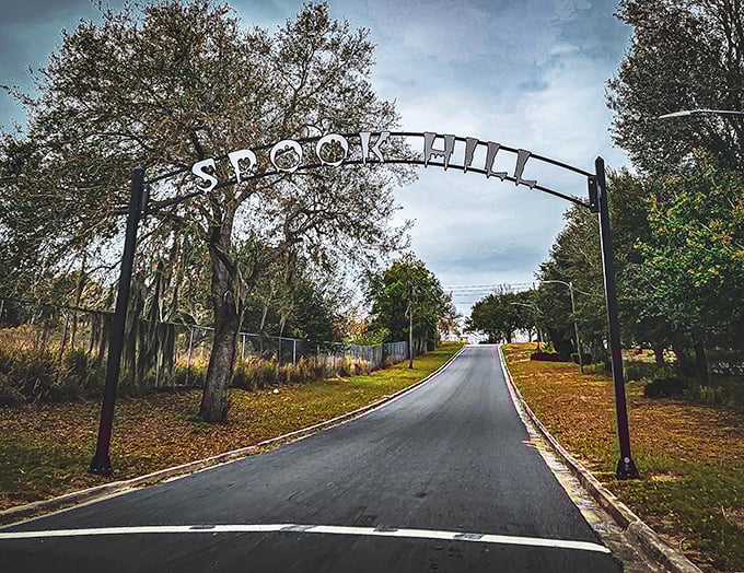 Autumn casts a moody spell over Spook Hill, enhancing the mysterious atmosphere of this beloved optical illusion.