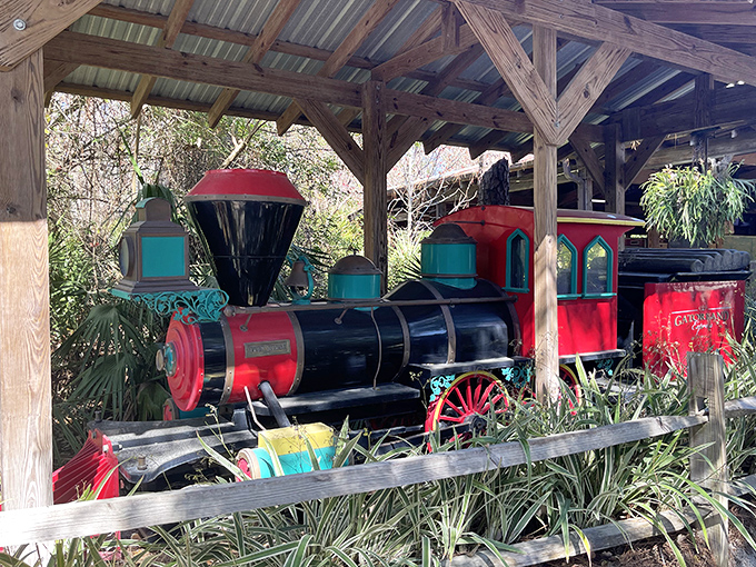 This isn't your average locomotive! The Gatorland Express combines old-world charm with the thrill of potentially being eyeballed by prehistoric predators.
