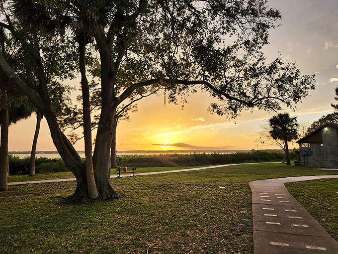 When the sun performs its daily farewell tour, even smartphone photos look like they belong in galleries.